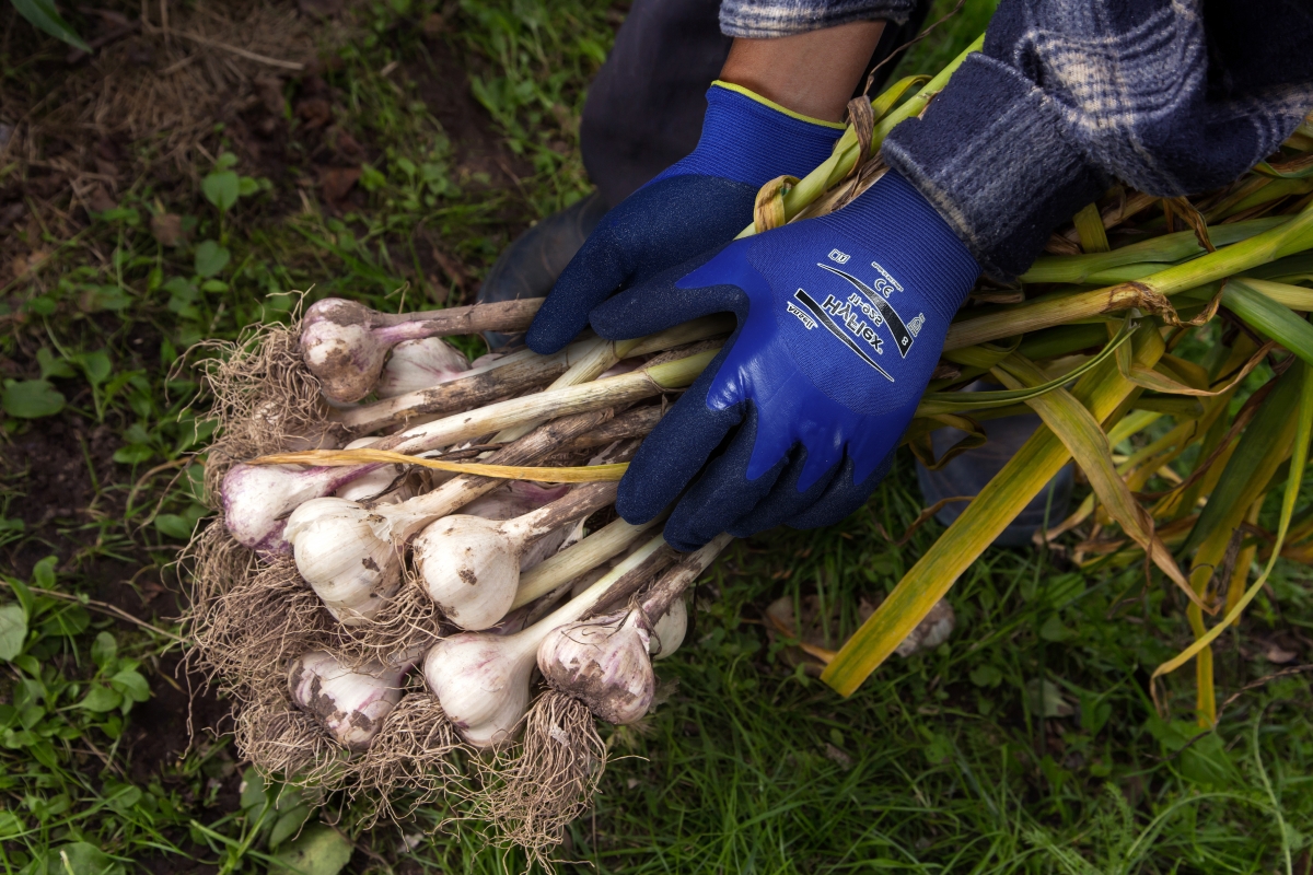 ISO Standard 18889 für den Umgang mit Pestiziden - PSA Profi